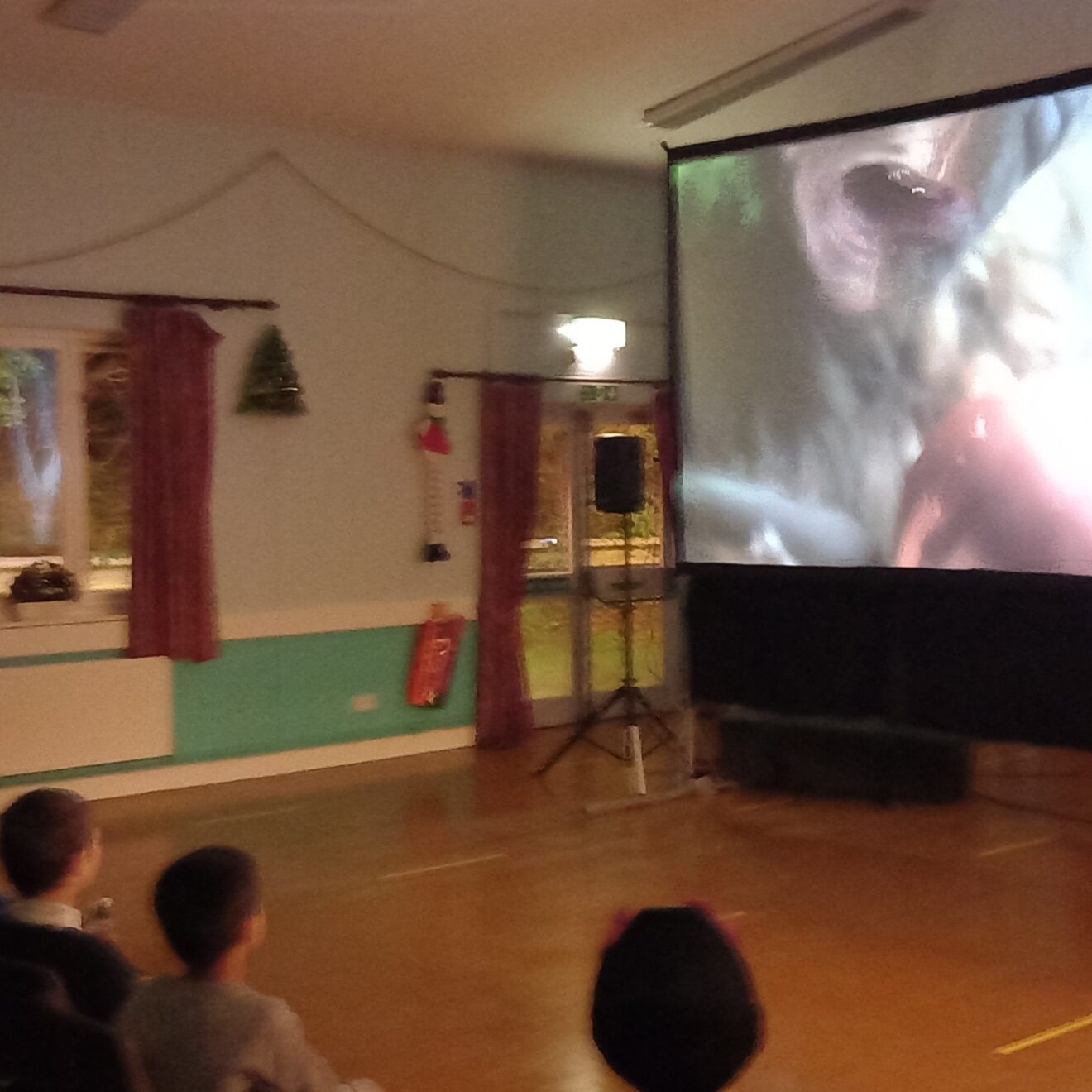 screen and projector hire